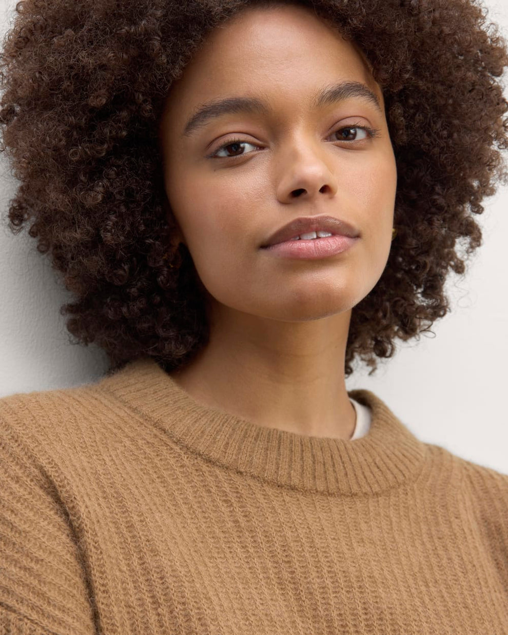 The Cocoon Crew in Alpaca | Tiger's Eye – Everlane